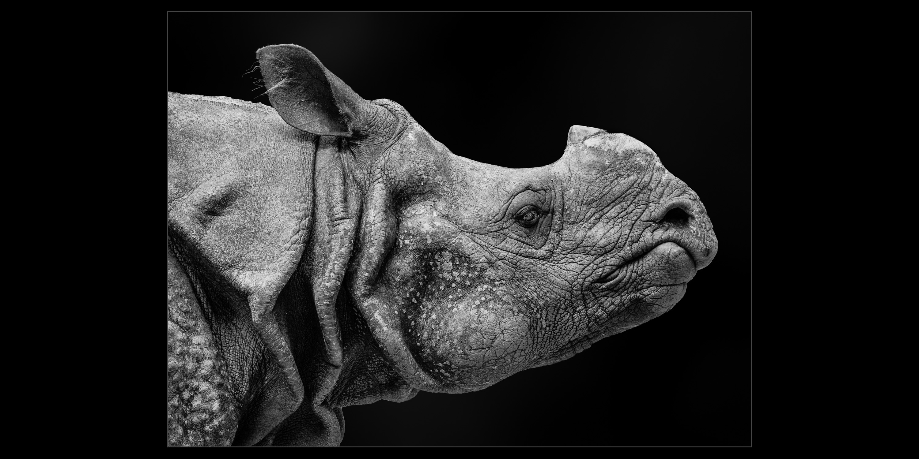 John Grusd Photography | The Art of Photography