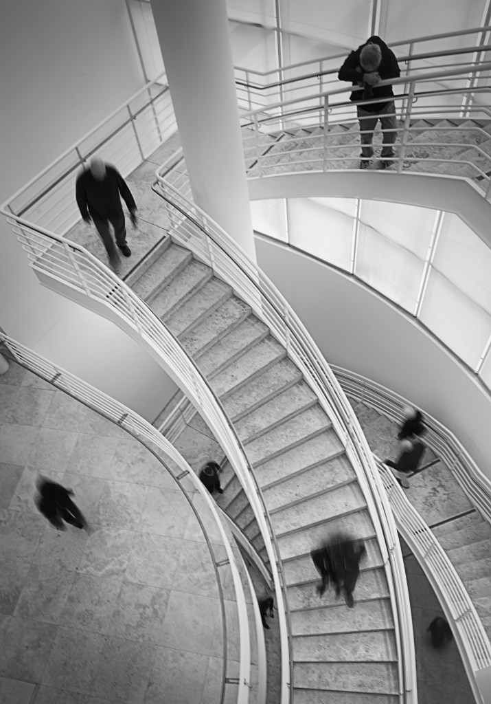Escher | John Grusd Photography
