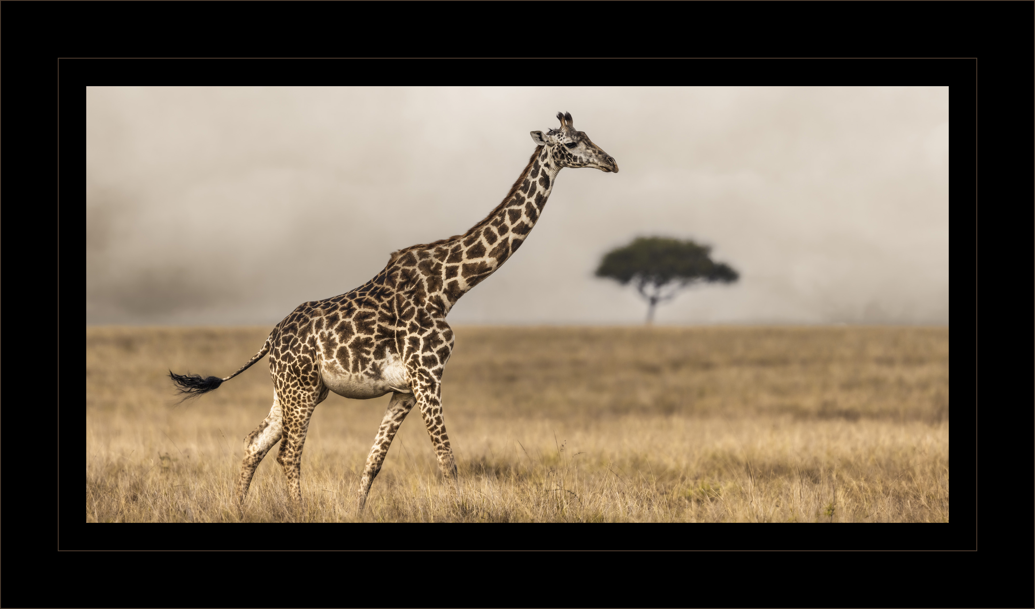 Sauntering | John Grusd Photography