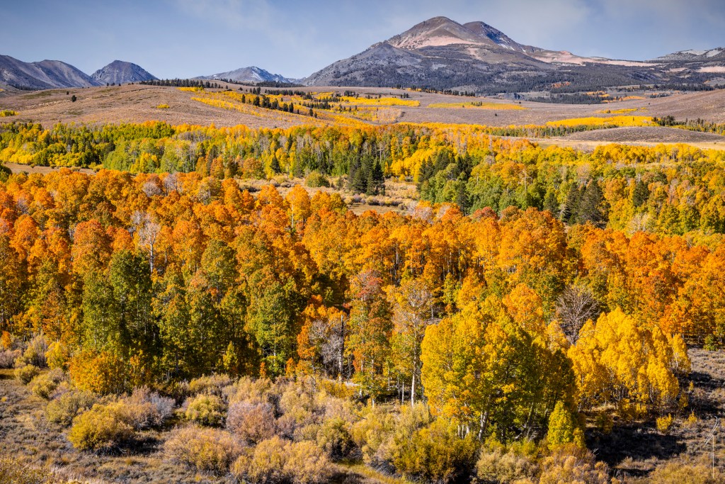 High Sierra High Color | John Grusd Photography