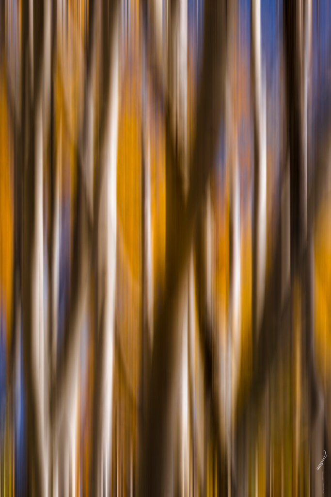 Western Autumn | John Grusd Photography
